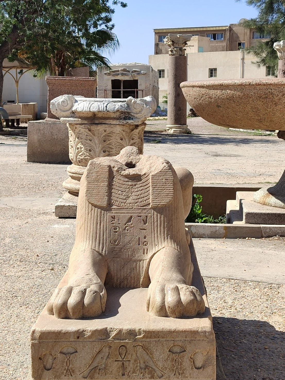 Cairo + Alexandria By Bus 2 Days - SinbadTour